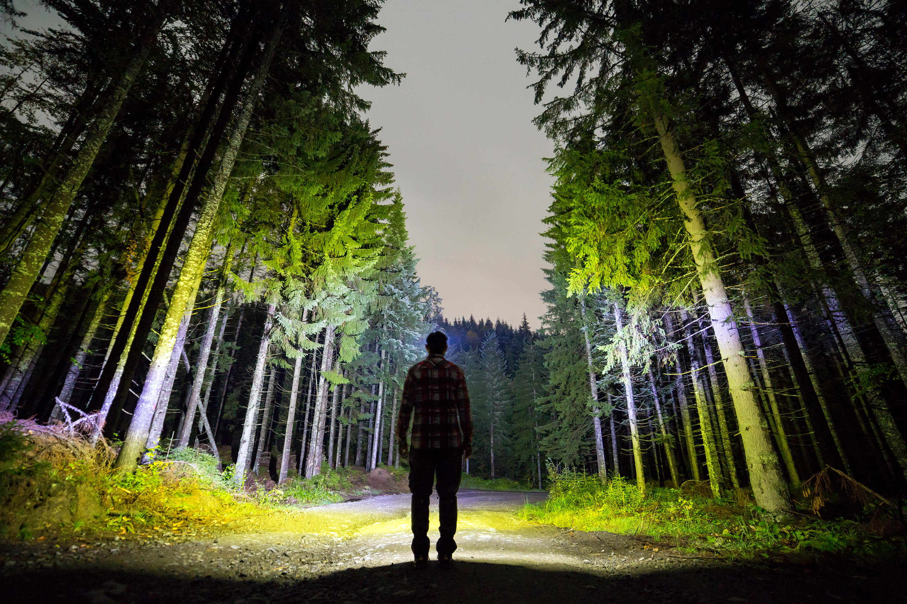 LED Wholesale – Maglite